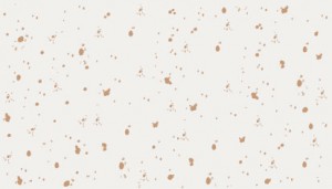 Structural Glazed Tile | Elgin Butler Company