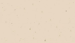 Structural Glazed Tile | Glazed Block - Elgin Butler