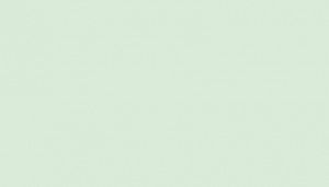 Ceramic Glazed Thin Brick | Standard Masonry - Elgin Butler