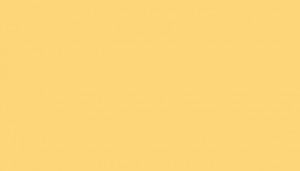 Structural Glazed Tile | Elgin Butler Company