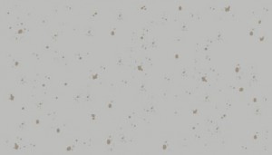 Structural Glazed Tile | Glazed Block - Elgin Butler